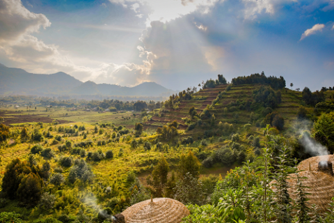 Le Rwanda: Les lieux à visiter, quoi voir, que faire et modalités